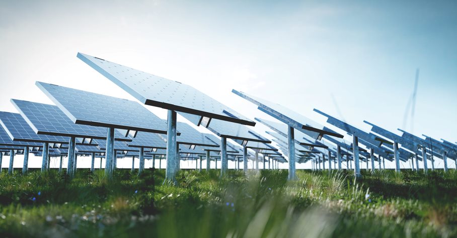 Conexões 2021: Conheça os empreendedores dos segmentos de Meio-ambiente ...